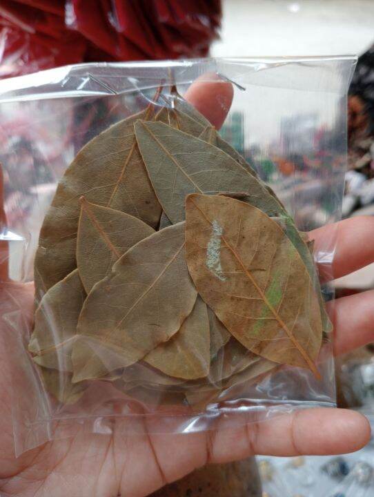 dahon Ng Laurel pang pa swerte, sa negosyo | Lazada PH