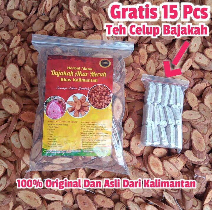 Bajakah Akar Merah Kalalawit 1kg Asli Kalimantan Bonus 15pcs Teh ...
