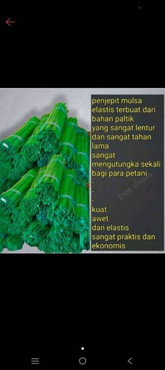 penjepit mulsa sujen 1 ikat 100 btg, penjepitmulsa elastis kuat dan ...