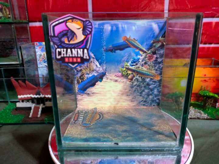 COD/Aquarium mini baby chana tema bawah laut/aquarium ikan hias/soliter ...