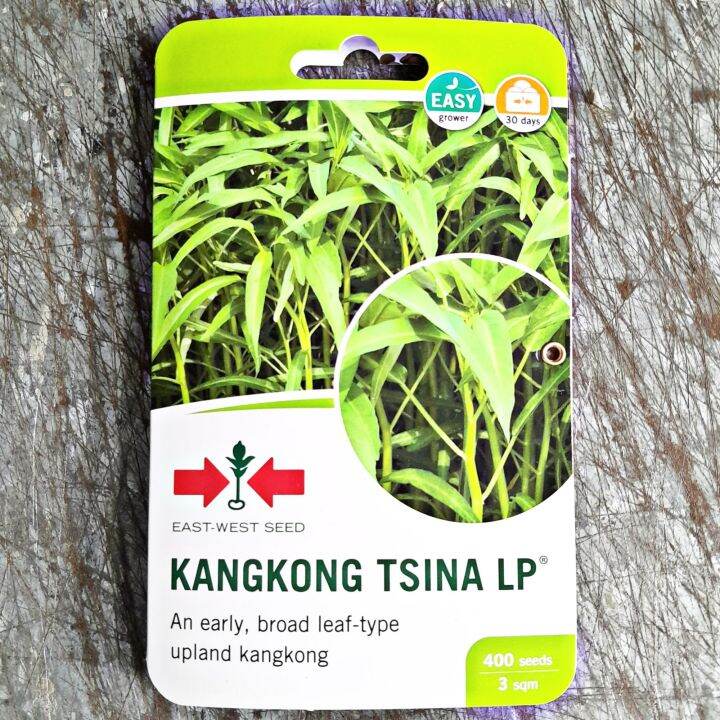 KANGKONG TSINA LP / CHINESE UPLAND KANGKONG (400 SEEDS) by EAST WEST ...