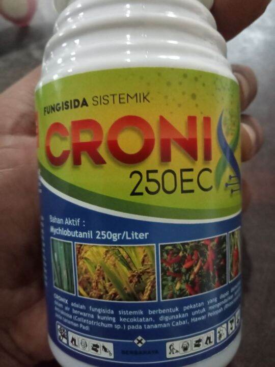 fungisida cronix 250ml | Lazada Indonesia
