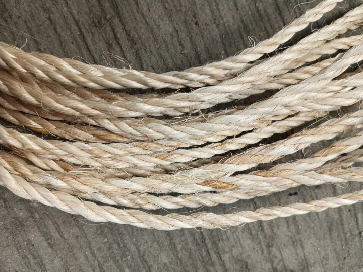 Abaca Rope ( Small ) 5 Meters 1 Bundle | Lazada PH