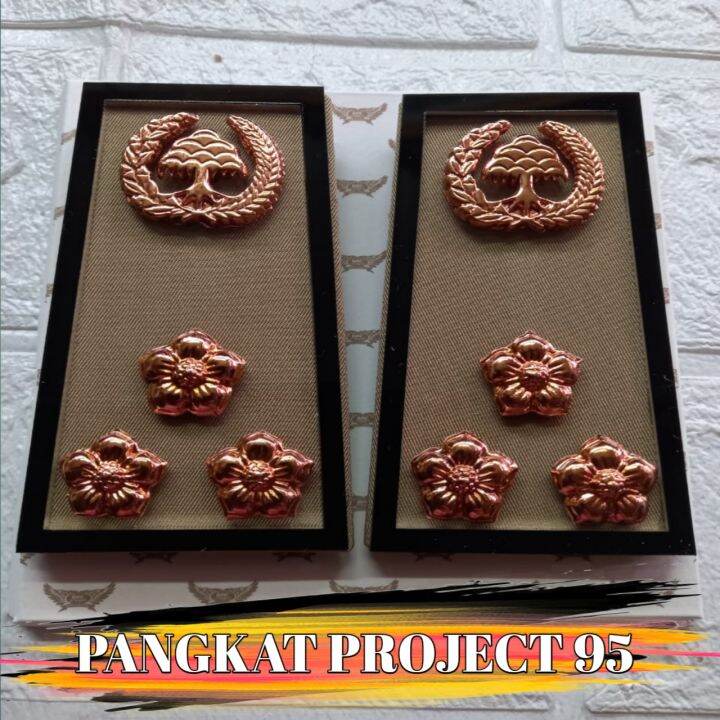 PANGKAT PNS LAMPUNG GOL 2C | Lazada Indonesia