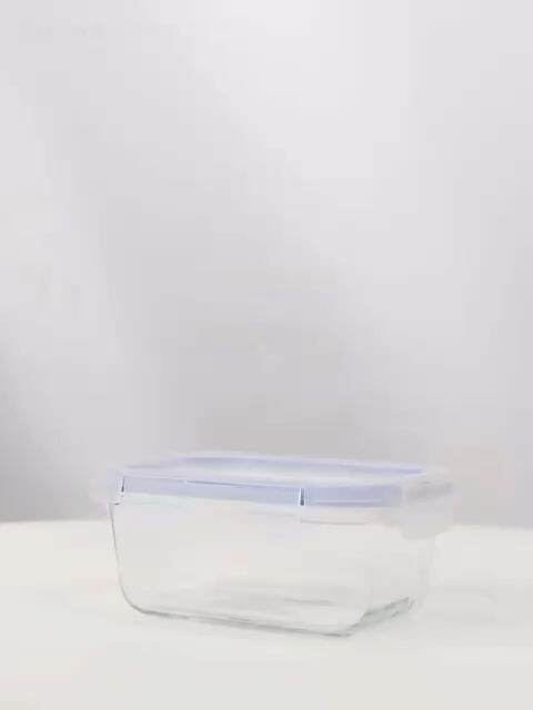 LocknLock SEPARATE GLASS CONTAINER MICROWAVEABLE FOOD FRIDGE CONTAINER ...
