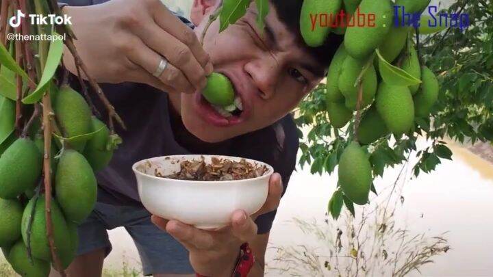 Buah Mangga Muda/Buah Mangga Muda/Buah Pauh Ringan Muda/Buah Mempelam ...