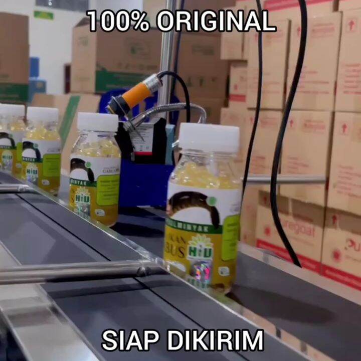 Kapsul Ikan Gabus Sari Kutuk PREMIUM 100% ORIGINAL Obati Luka ...