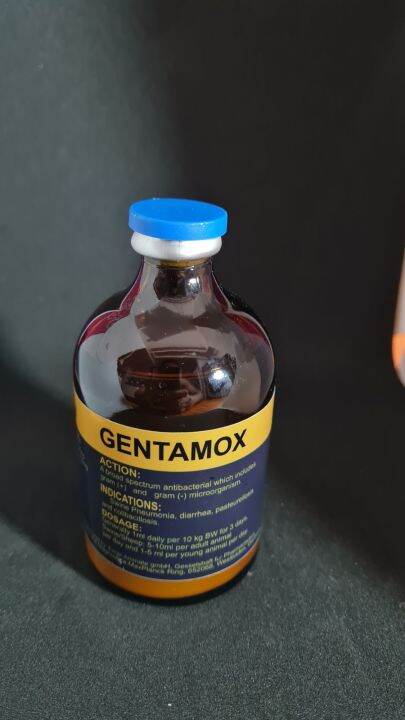 gentamox inj 100ml | Lazada PH
