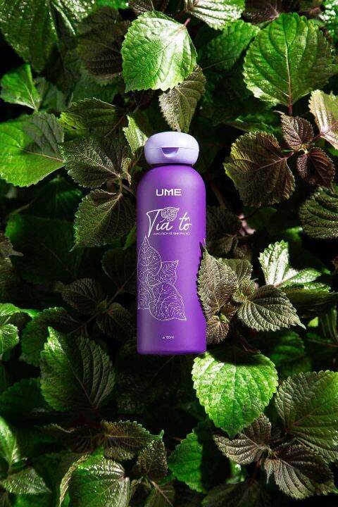 DDVS phụ nữ Tía Tô | Lazada.vn