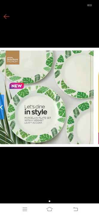 Evergreen 4-pc Plate Set | Lazada PH