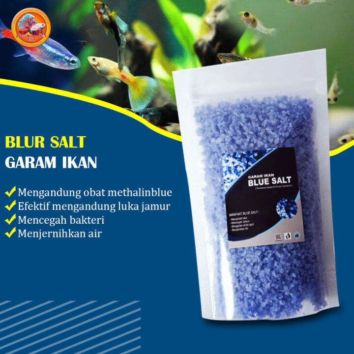 Garam ikan Garam Biru + kandungan Metaline blue | Lazada Indonesia