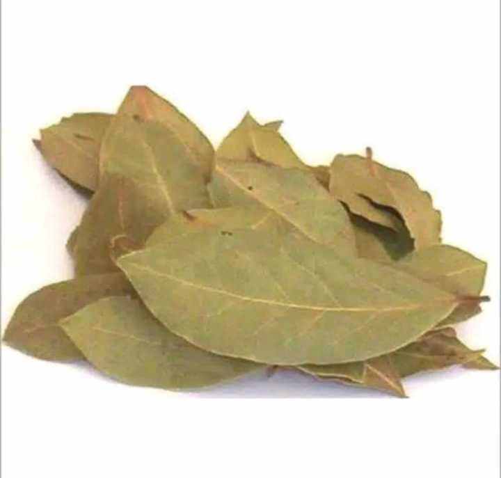 Daun Salam India |Bay leaf India |Daun Salam kering 5 grm | Lazada ...