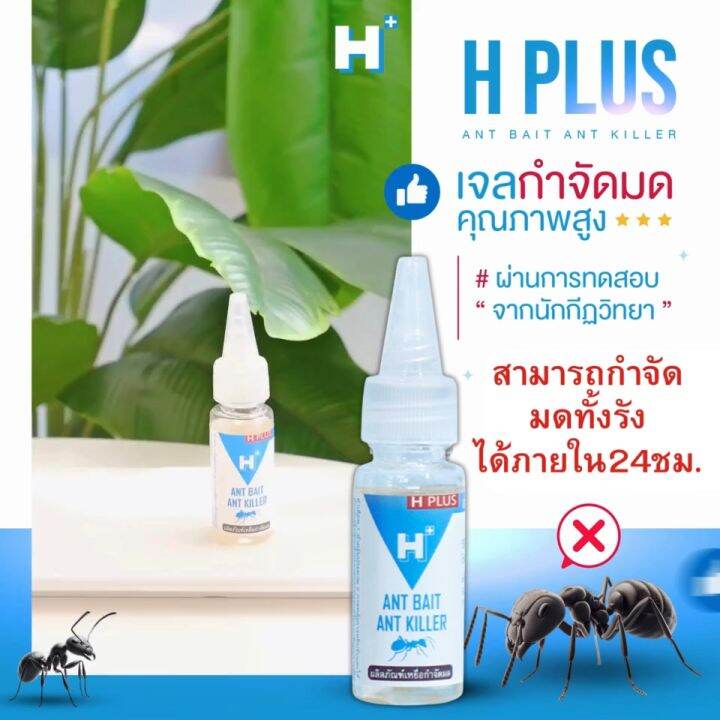 เจลกำจัดมด #กำจัดมด H PLUS #ANT BAIT #ANT KILLER | Lazada.co.th