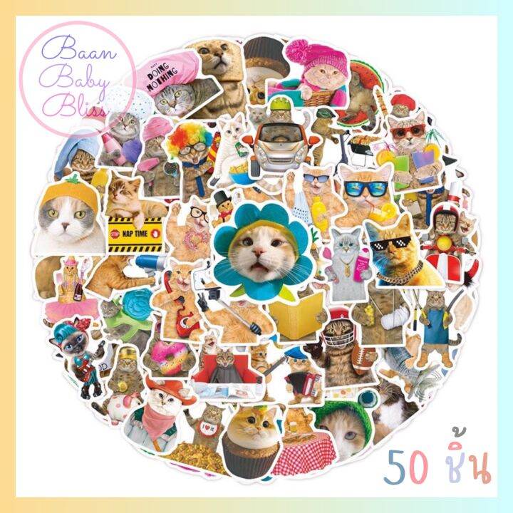 Sticker cat 417 🐈 🐱สติ๊กเกอร์รูปแมว ไดคัท 50ชิ้น คละลาย กันน้ำ สีสวย ...