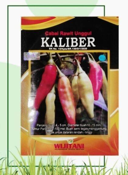 40 biji BENIH CABAI RAWIT KALIBER UNGGUL Ripec/ BENIH CABE Eceran SUPER ... 40 biji BENIH CABAI RAWIT KALIBER UNGGUL Ripec/ BENIH CABE Eceran SUPER ...
