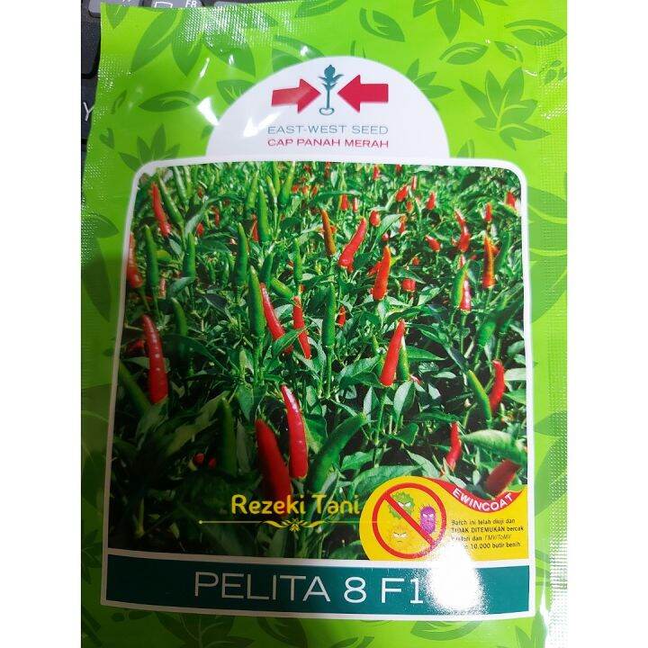 Benih Cabe Rawit Pelita 8 F1 isi 2250 butir Panah Merah | Lazada Indonesia