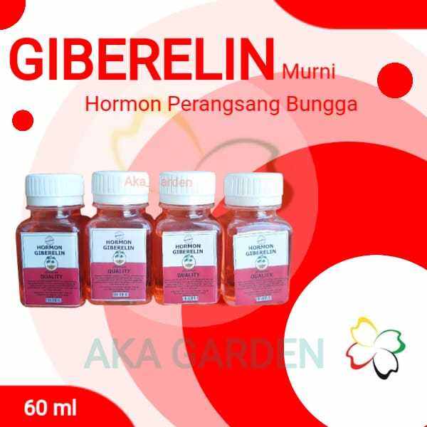 Hormon Giberelin ZPT Perangsang Bunga Tanaman Plant Growth Regulator ...