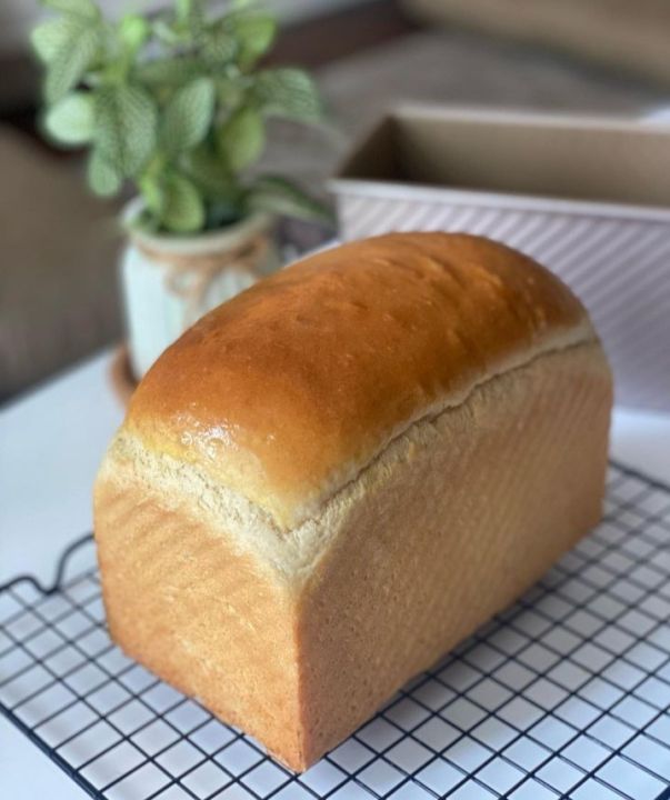 roti tawar loaf/roti toast/roti sandwich | Lazada Indonesia