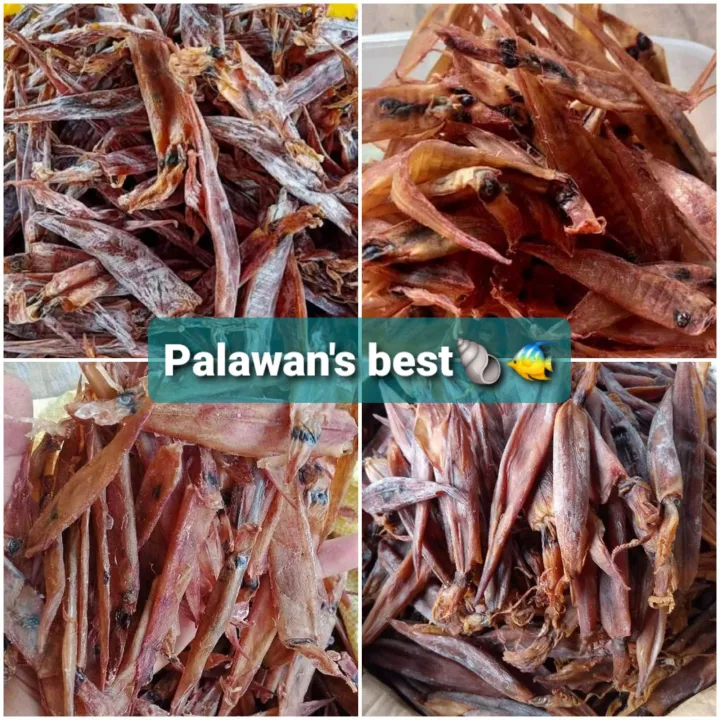 Palawan Dried Ballpen Pusit 100g | Lazada PH