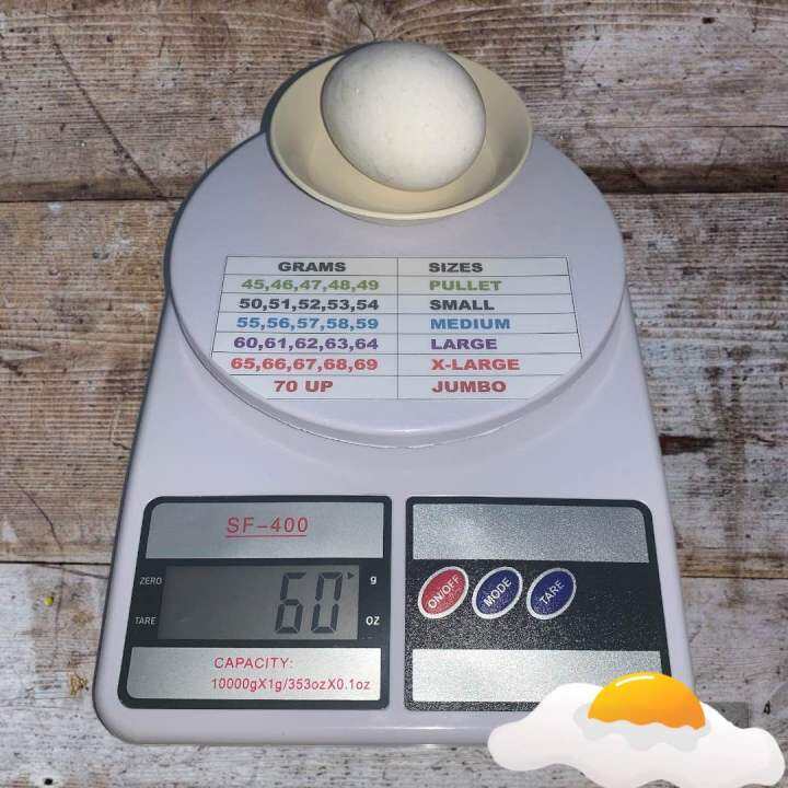 Digital Egg Weighing Scale With the Default DTI Size Chart | Lazada PH