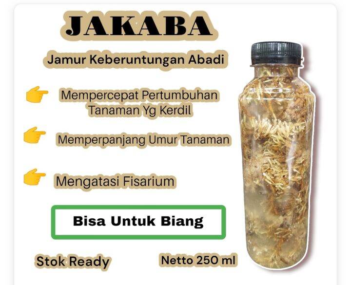 Jamur Jakaba/Biang Jakaba/Pupuk Organik Cair/Obat Anti Layu Fusarium ...