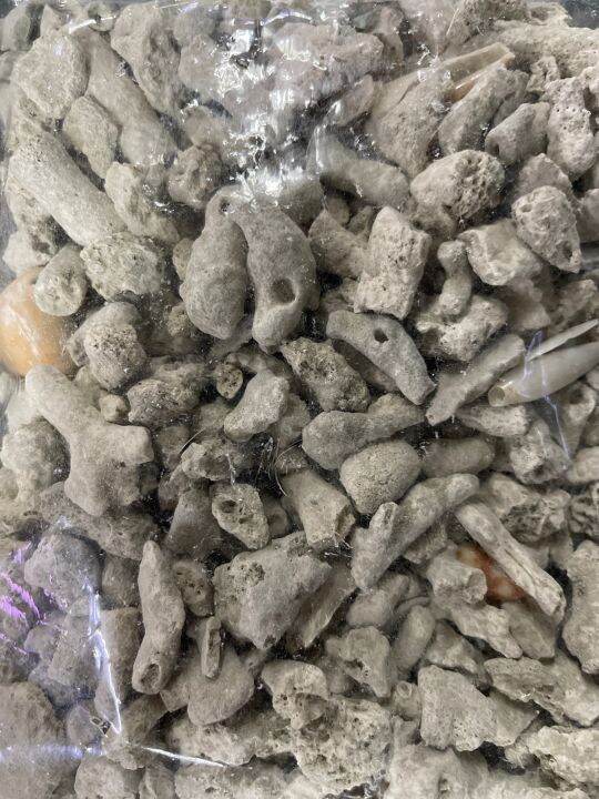 Coral Stone Aquarium Filter Media 1kg | Lazada