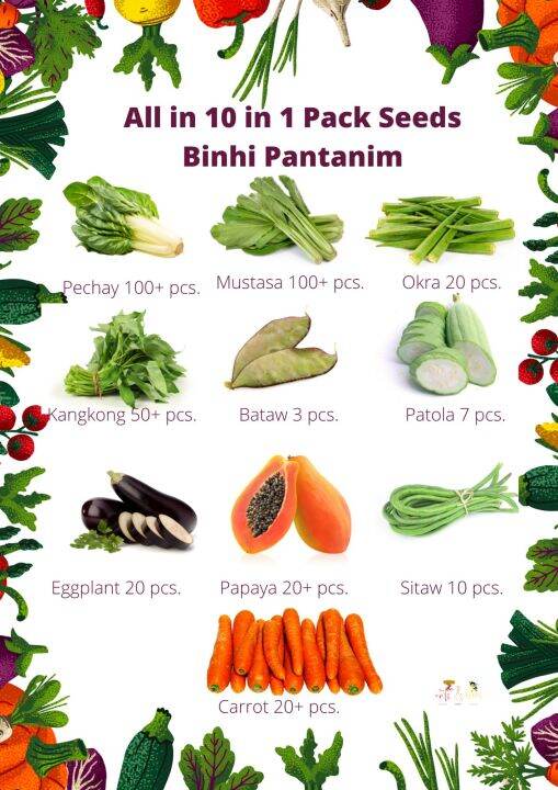 all in! 10 in 1 pack seeds binhi pantanim gulay pechay mustasa okra ...