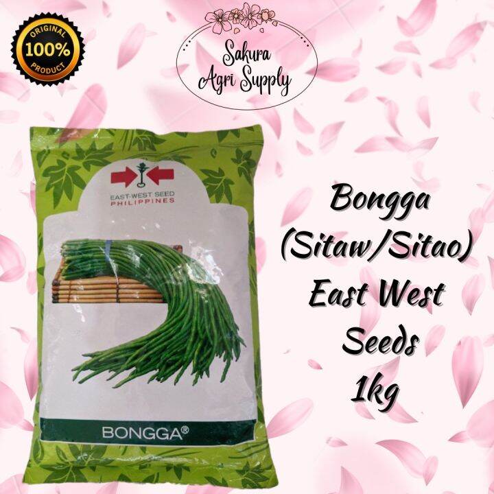 EAST WEST BONGGA SITAW / SITAO SEEDS 1kg | Lazada PH