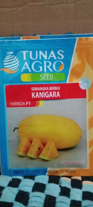 BENIH SEMANGKA BERBIJI KANIGARA F1 EKSLUSIFE | Lazada Indonesia