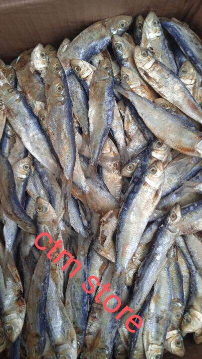 ikan asin tanjan/tembang | Lazada Indonesia