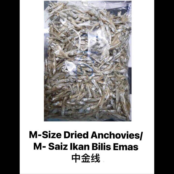 Fresh Dried Anchovies / Ikan bilis Langkawi 1kg M size | Lazada