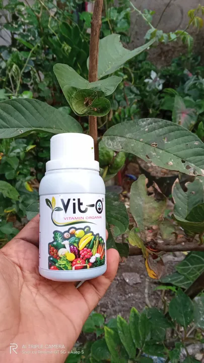 vit O kemasan 100ML | Lazada Indonesia