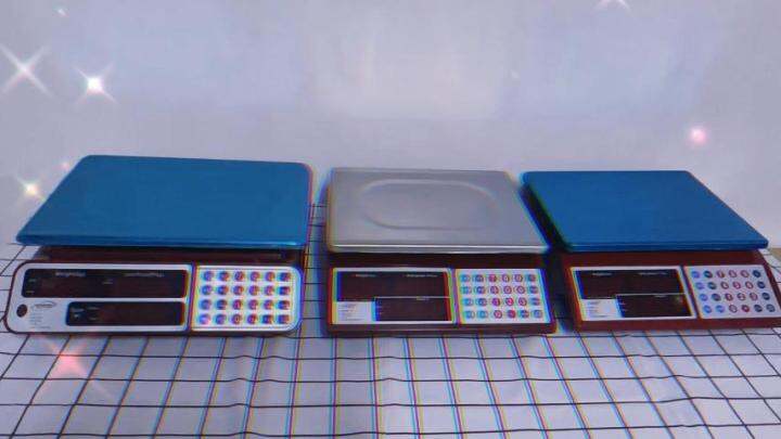 General Master Digital Scale Price Computing Scale 30 Kg GMD-30 | Lazada PH