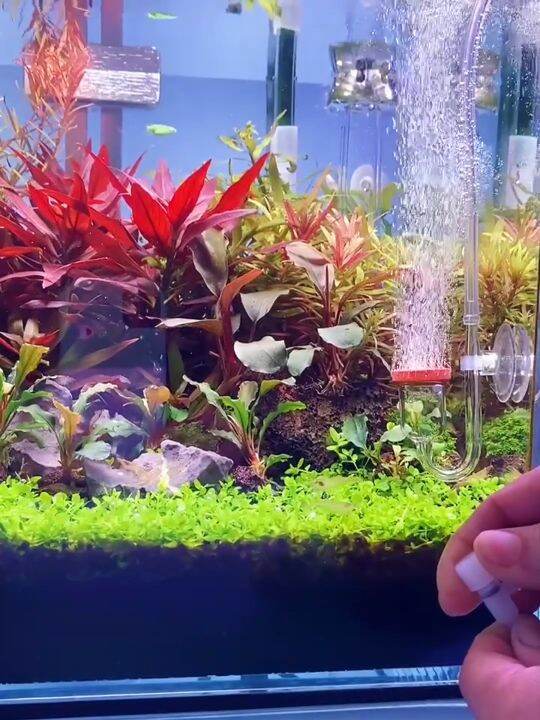 Aquarium Glass Nano Ceramic Oxygen Air Diffuser Oxygen Bubble Refiner ...