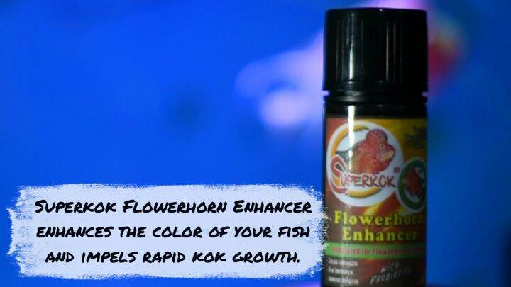 Superkok Flowerhorn Enhancer 100ml, Color Enhancer, Kok Improver, Fish ...