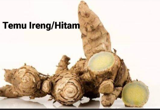 Temu Ireng/Temu Hitam segar 1kg | Lazada Indonesia