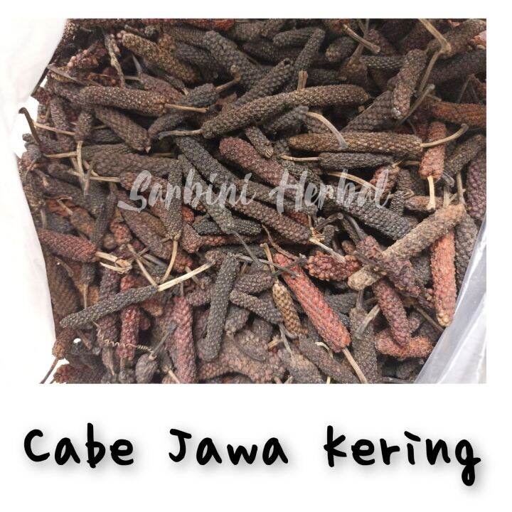 Cabai Jawa 1 kg / Cabe Jawa / Cabe Jamu Asli | Lazada Indonesia