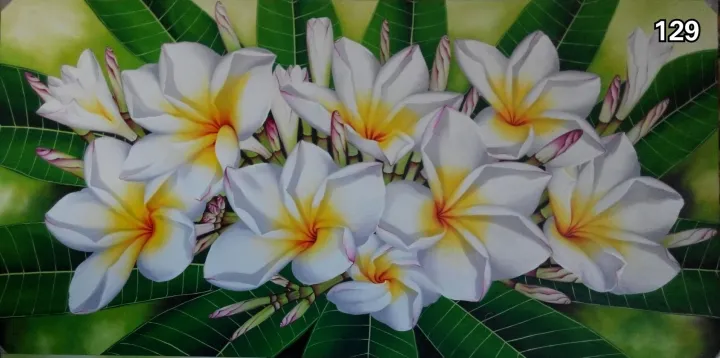 Lukisan bunga kamboja warna putih Lukisan pemandangan alam bagus indah ...