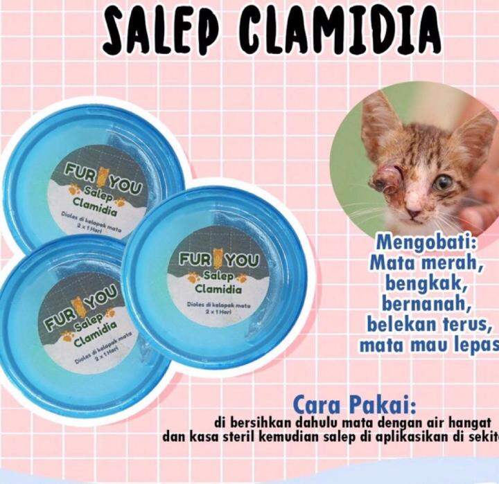 Obat salep clamidia . salep mata kucing clamidia | Lazada Indonesia