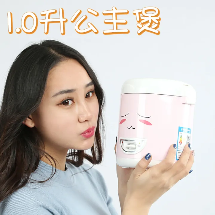 Ice Bear the Smallest Rice Cooker for One Person Multi-Functional 1 ...
