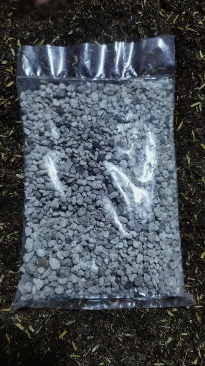 Miccah Farm monggo Pumice|cleaned Pumice monggo size | Lazada PH