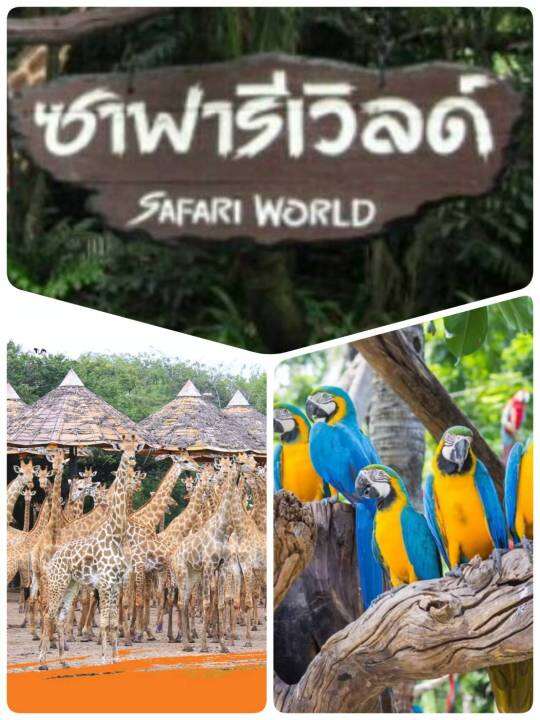 บัตรซาฟารีเวิลด์ Safari World ค่าเข้าทั้ง 2โซน ราคาถูก | Lazada.co.th