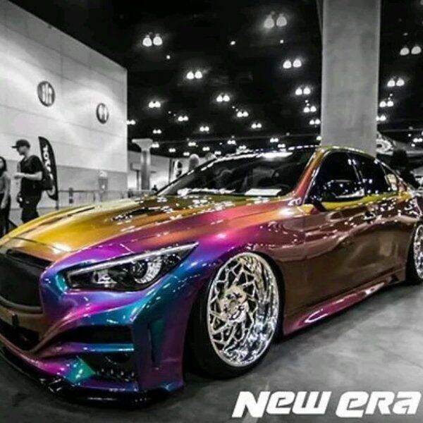 cat bunglon 5 warna 100ml | Lazada Indonesia