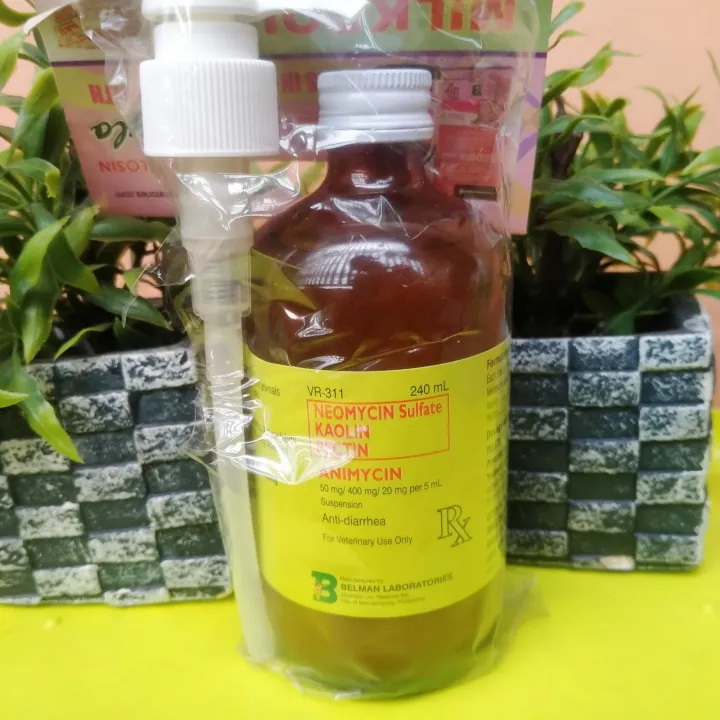 Animycin Anti Diarrhea 240ml | Lazada PH