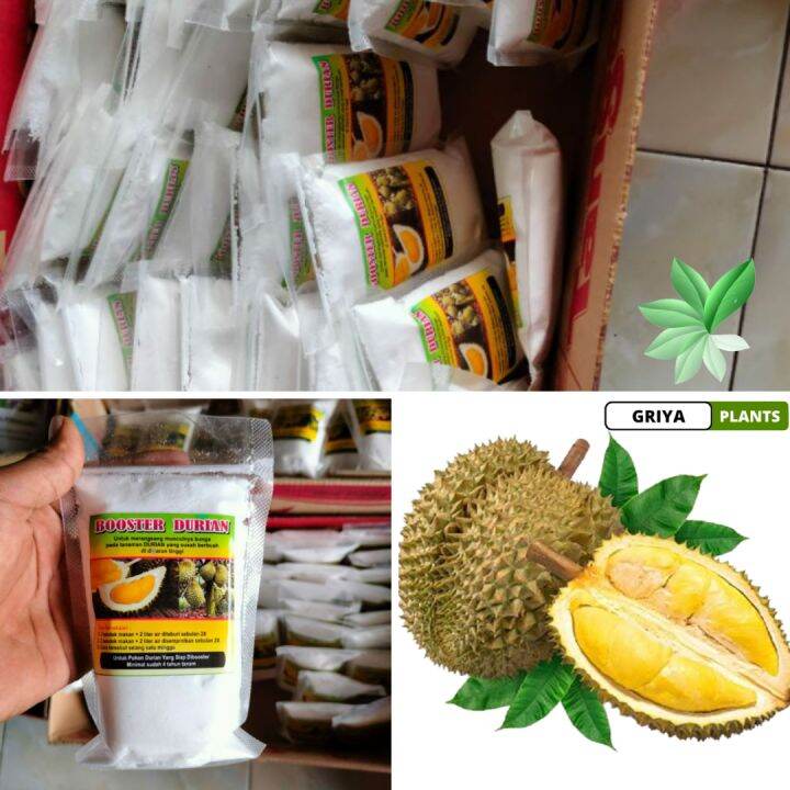 Pupuk Booster Organik Pelebat Buah Durian dan Perangsang Durian Agar cepat berbunga | Lazada ...