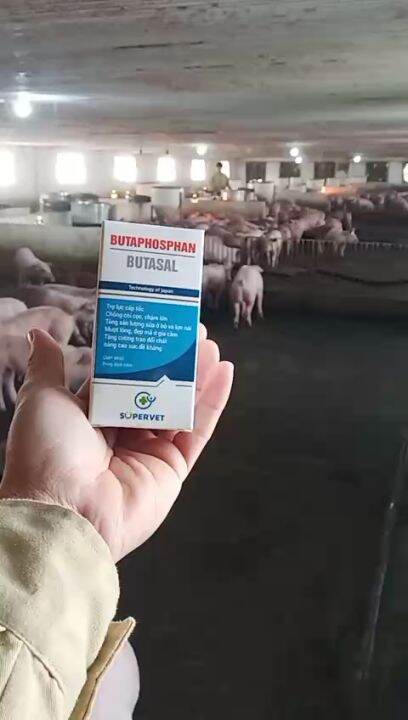 Butasal, trợ Lực Cấp Tốc, Chống Còi Cọc, Chậm Lớn, Tăng Sản Lượng Sữa ...