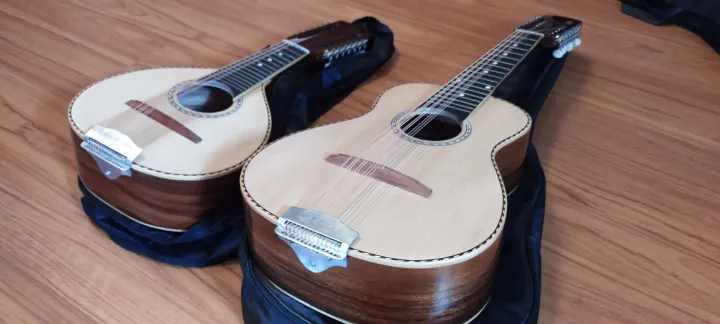 OCTAVINA WITH PADDED CASE BAG - ARLENE CAYABYAB MUSICAL INSTRUMENTS ...