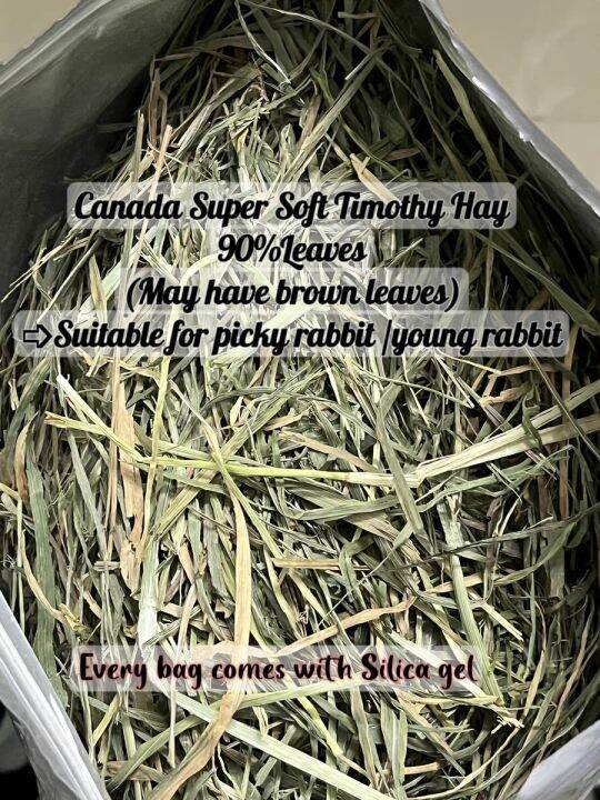 Canada Super Soft Timothy Hay (Super Premium Grade) | Lazada