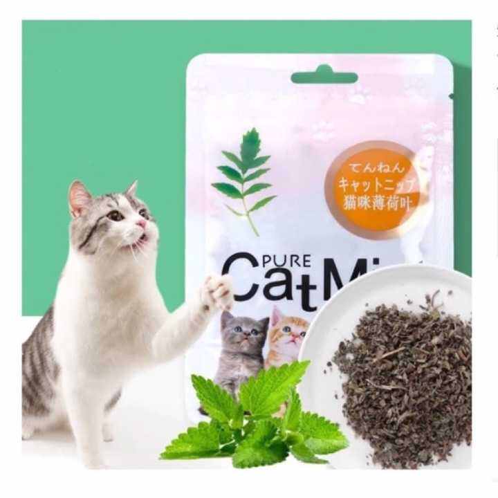 pure catmint catnip untuk kucing | Lazada Indonesia