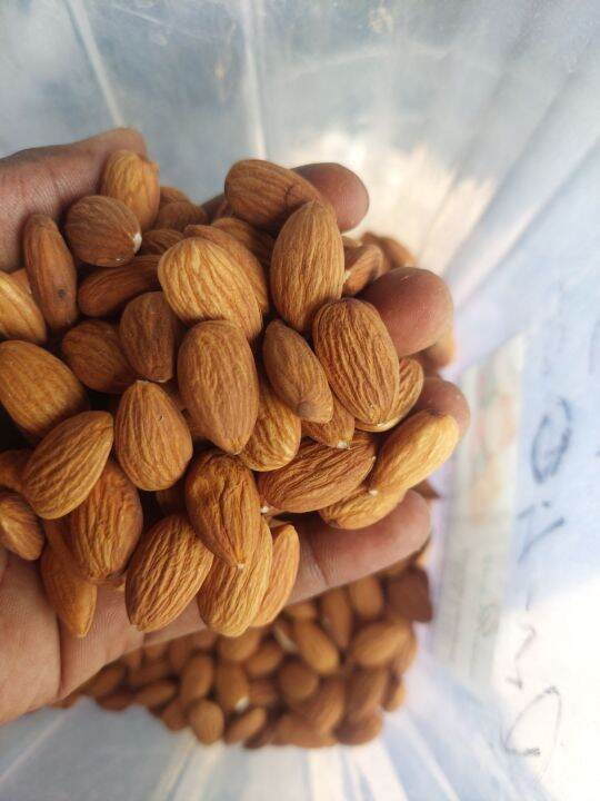 Raw almonds 1kg | Lazada